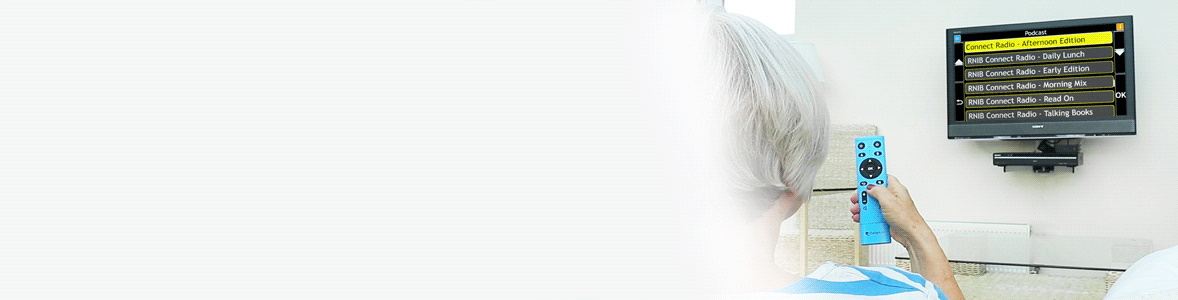 Dolphin Computer Access