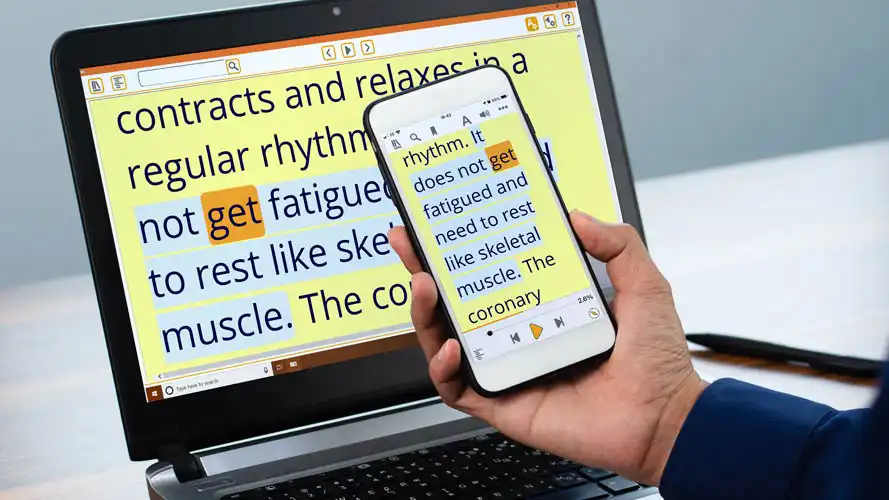 Dolphin Computer Access