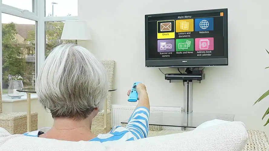 Dolphin Computer Access