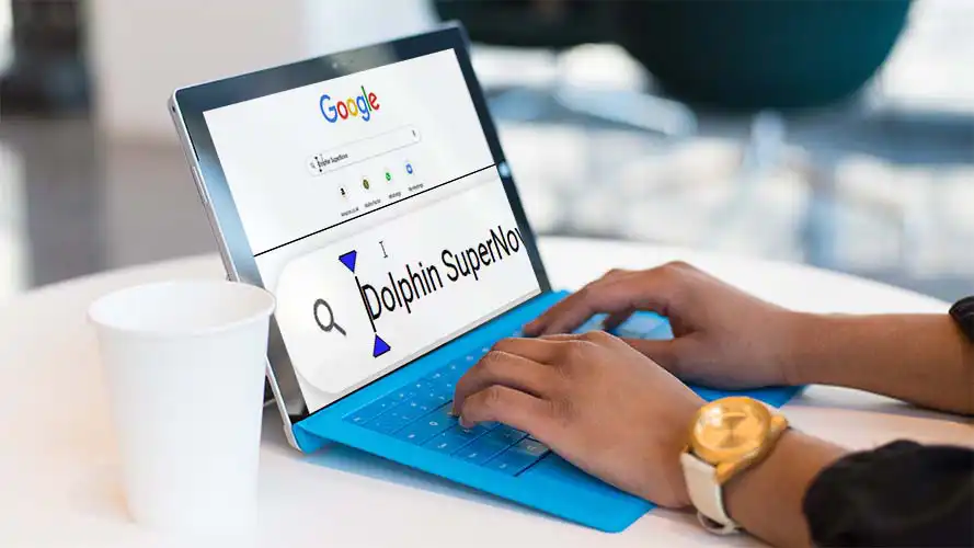 Dolphin Computer Access